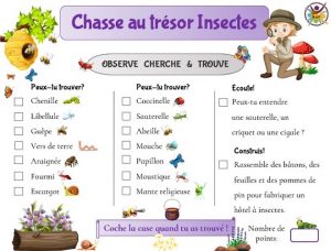 Chasse au trésor des insectes - Un Anniversaire en Or
